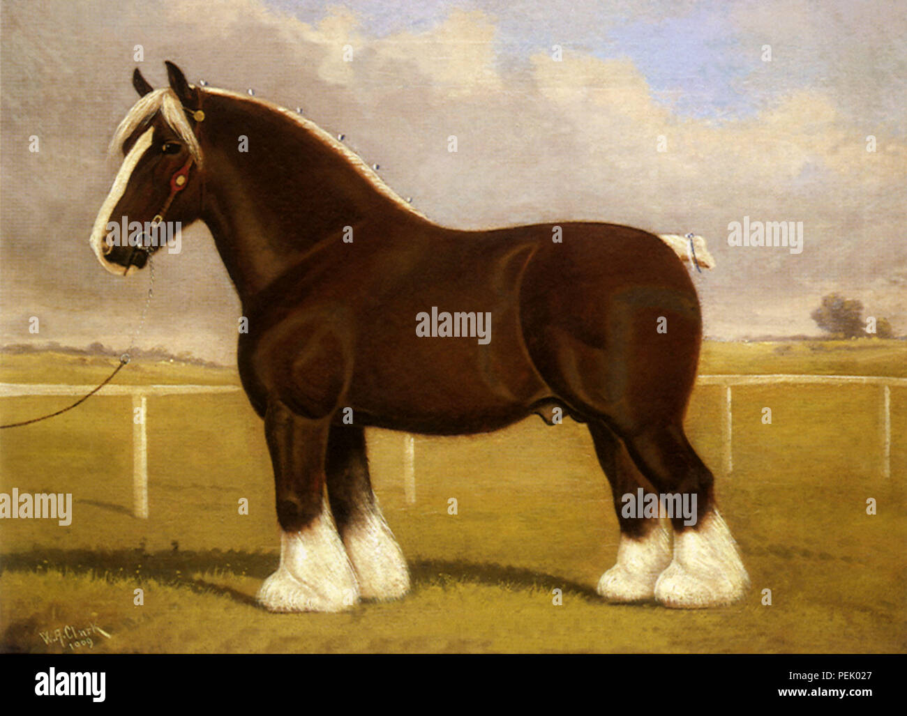 Albert clark Banque de photographies et d’images à haute résolution - Alamy