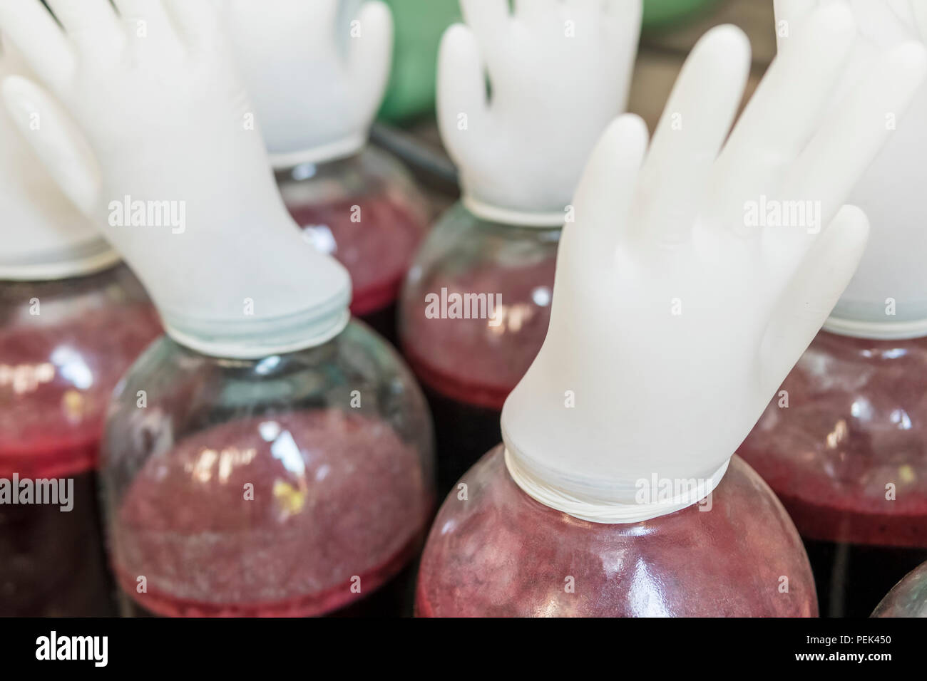 Bulles de fermentation Banque de photographies et d’images à haute ...