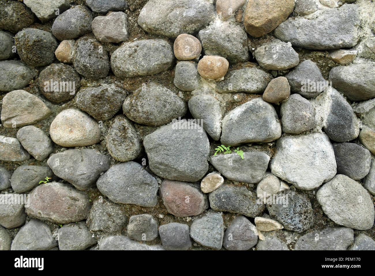 Rocky soil Banque de photographies et d’images à haute résolution - Alamy