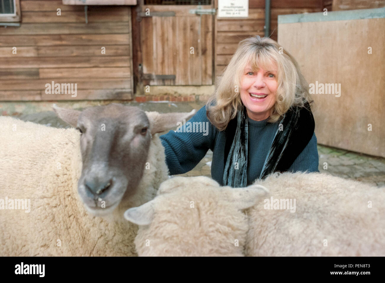 Carla lane Banque de photographies et d’images à haute résolution - Alamy
