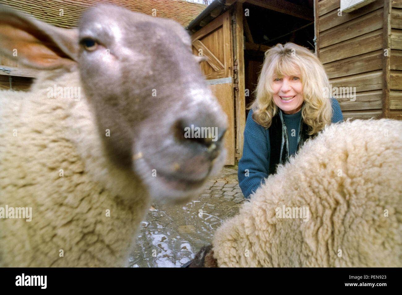 Carla lane Banque de photographies et d’images à haute résolution - Alamy