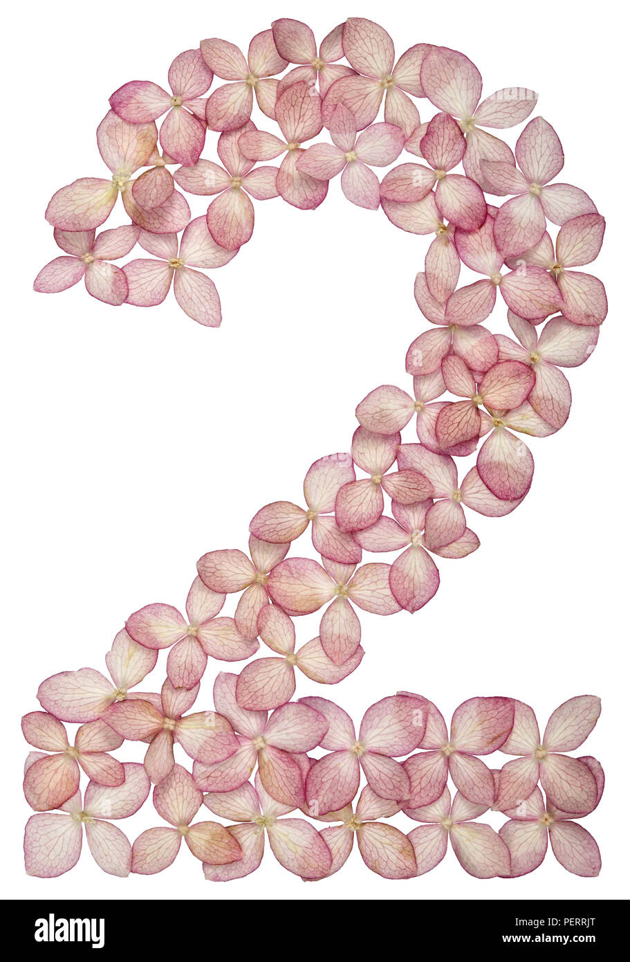 Chiffre arabe 2 fleur Banque de photographies et d’images à haute ...