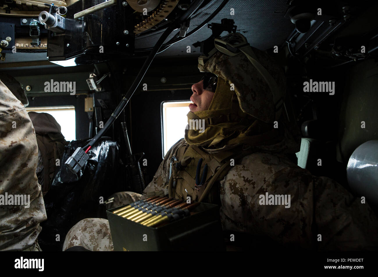 Section caat Banque de photographies et d’images à haute résolution - Alamy