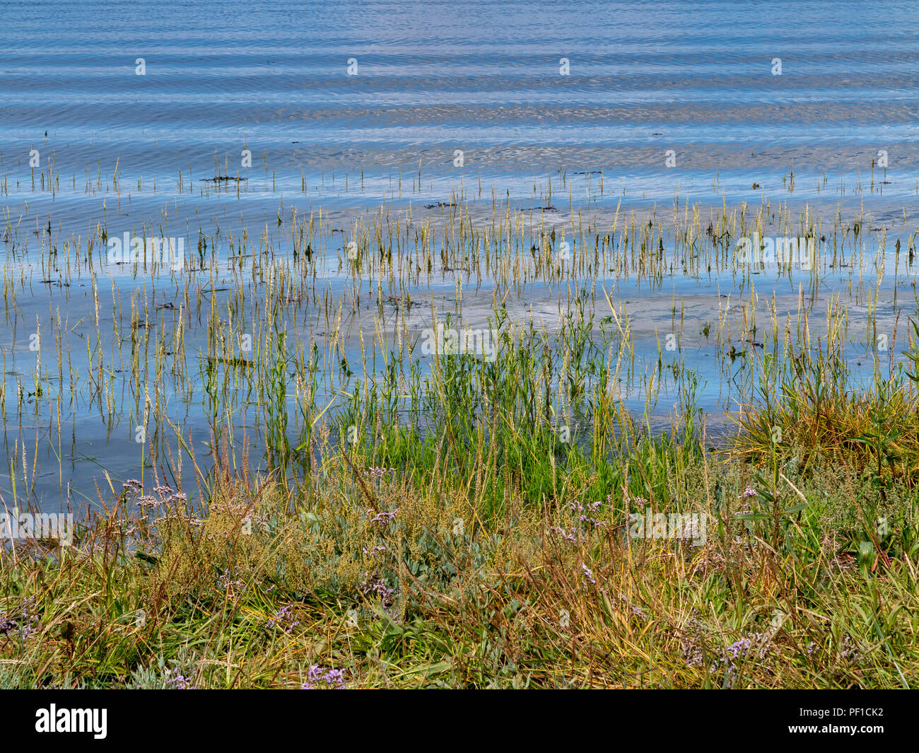 Ondulation de l'eau peu profonde Banque de photographies et d’images à ...