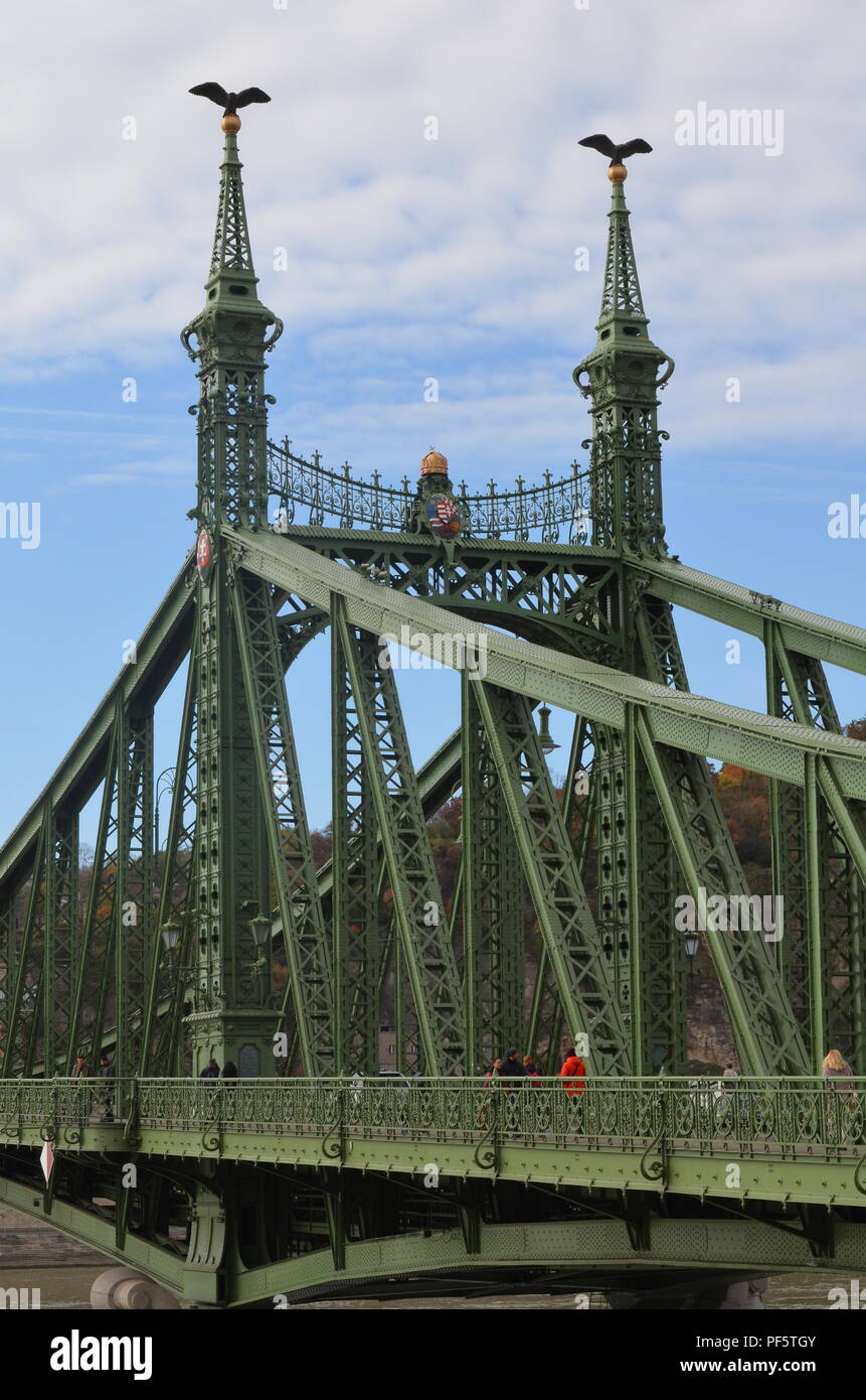 Oiseaux turul Banque de photographies et d’images à haute résolution ...