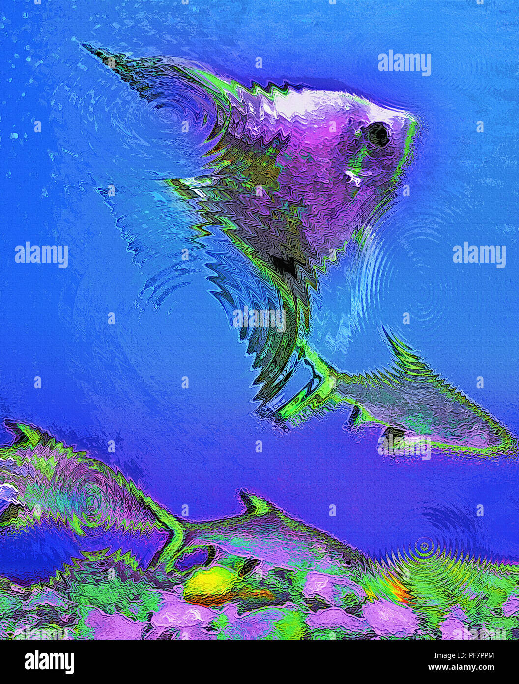 Animalerie locale Banque de photographies et d’images à haute ...