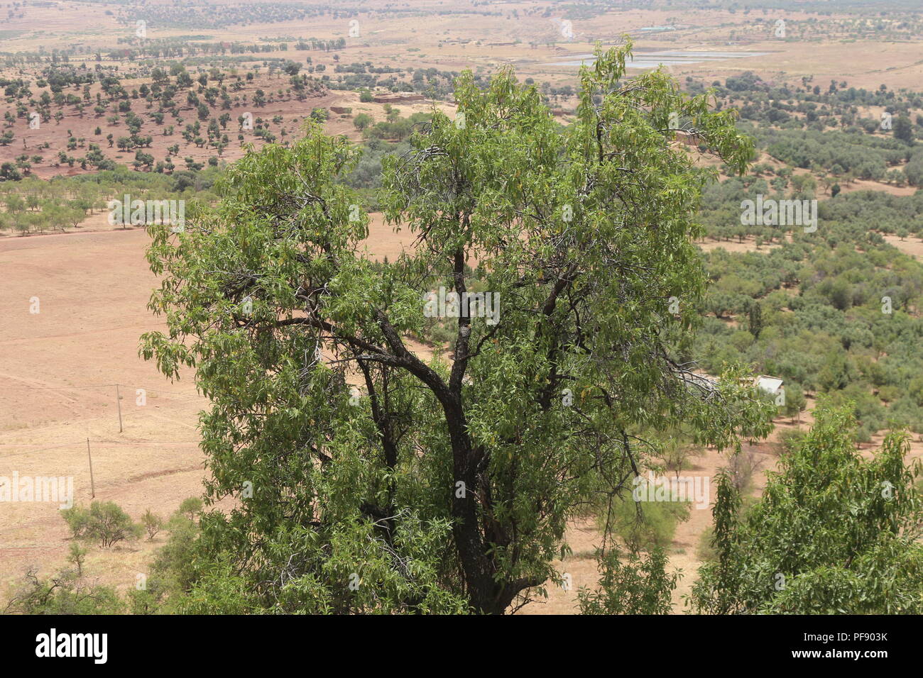 Azilal, maroc Banque de photographies et d’images à haute résolution ...