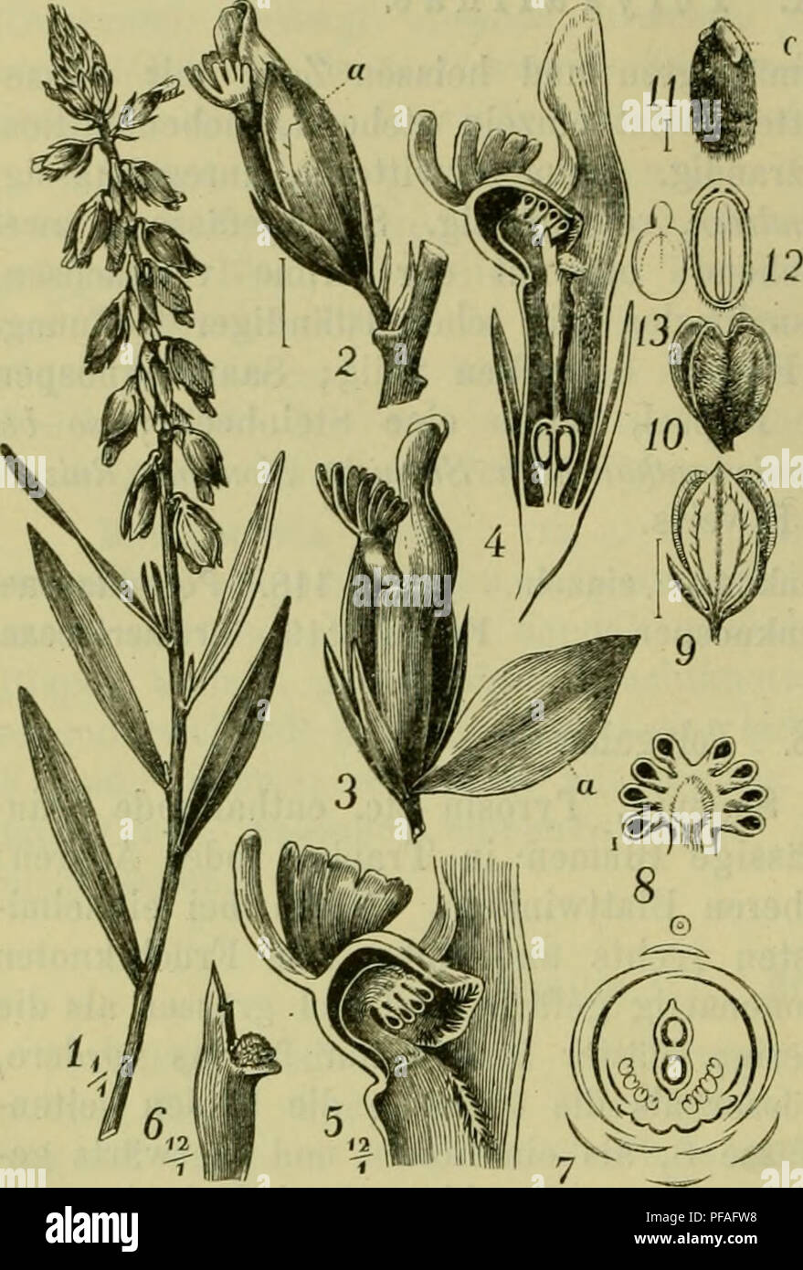 Die ganze strecke Banque de photographies et d’images à haute ...