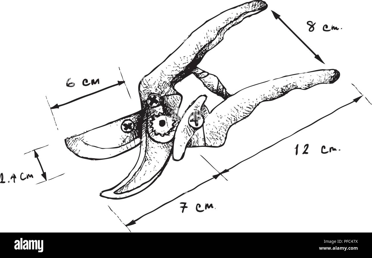 Dessin élagage d'arbre Banque de photographies et d’images à haute ...