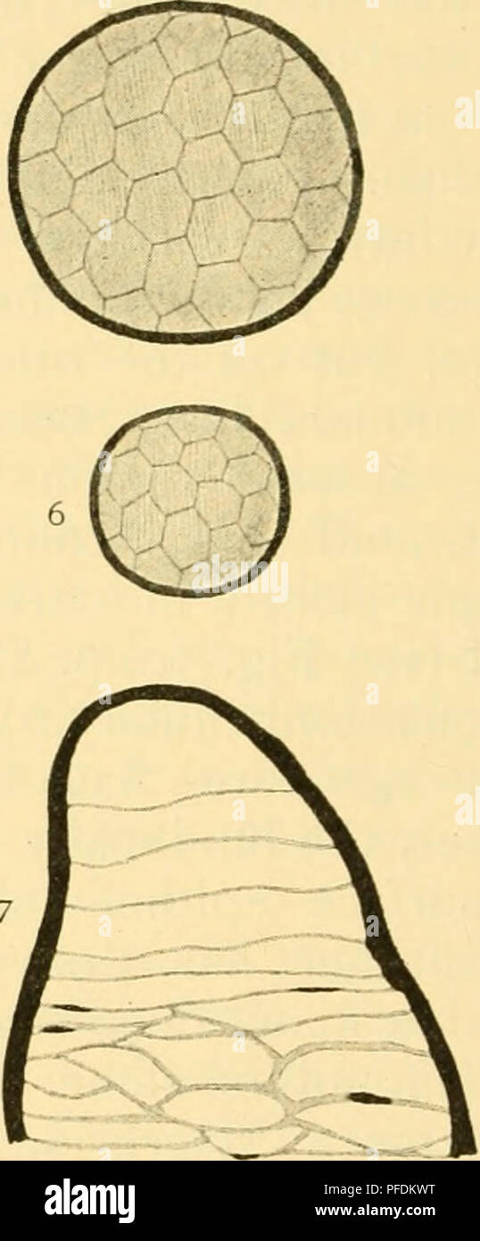 C signata Banque de photographies et d’images à haute résolution - Alamy