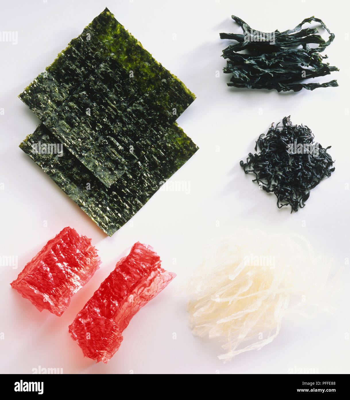 Agar agar seaweeds Banque de photographies et d’images à haute ...