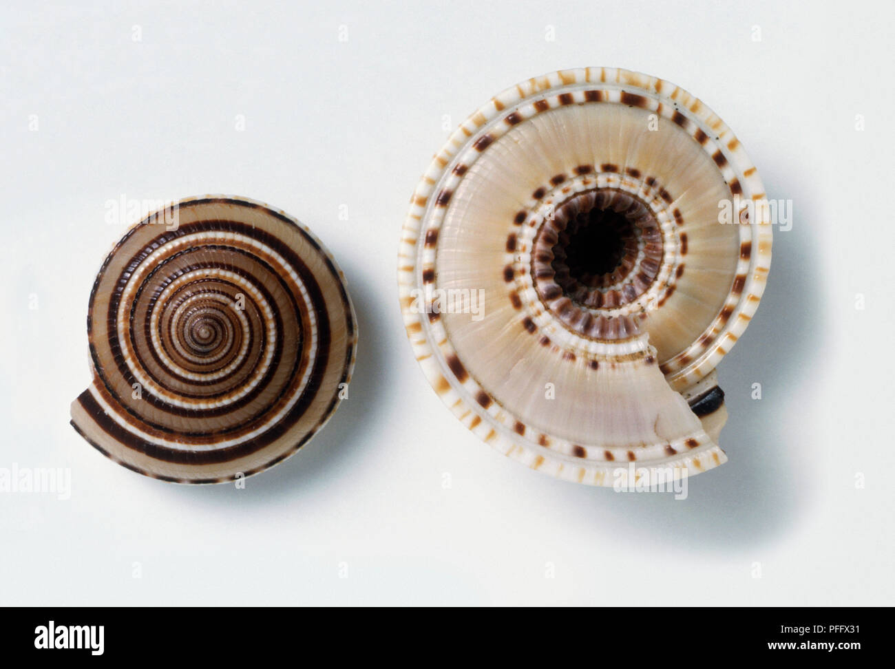 Architectonica perspectiva Banque de photographies et d’images à haute ...