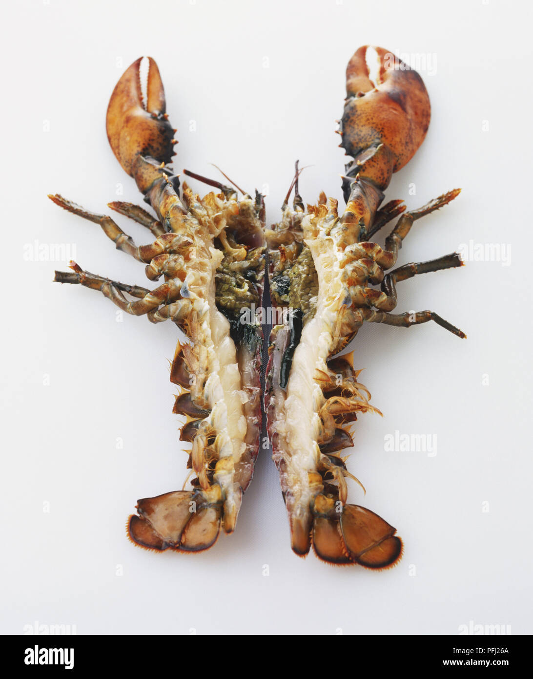 Coquille de homard Banque de photographies et d’images à haute ...