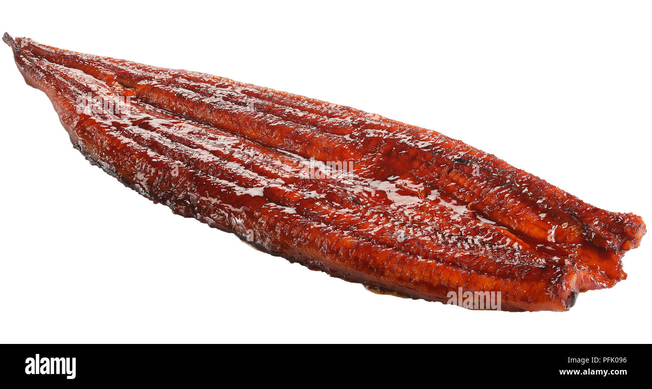 Anguille poisson anguille Banque d'images détourées - Alamy