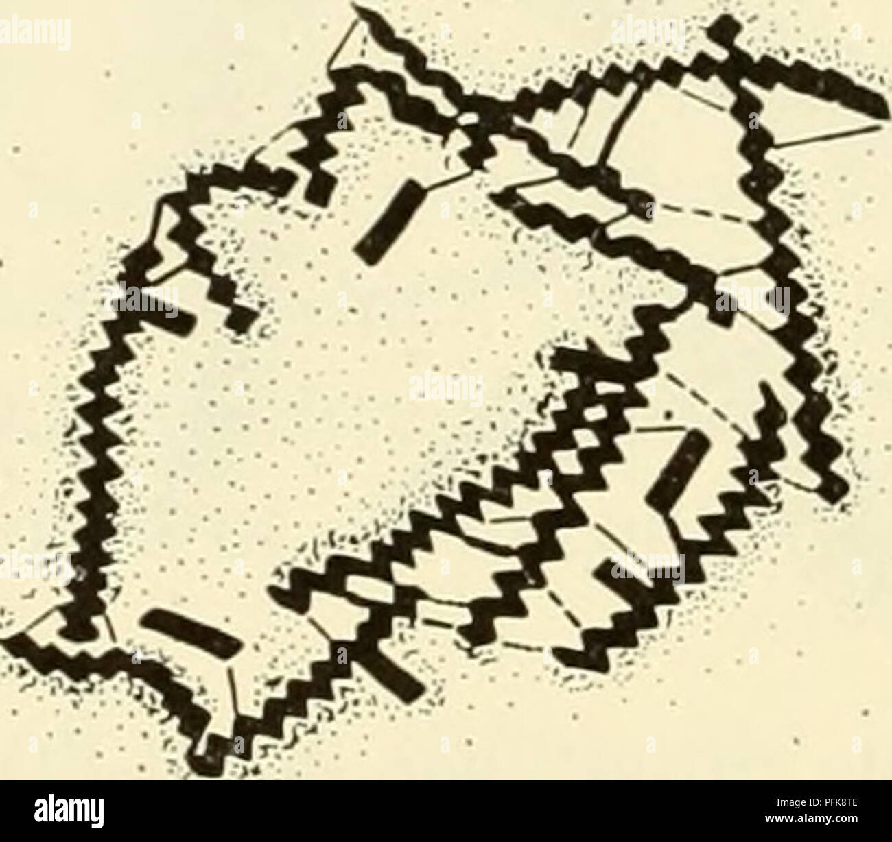 Cytologie en milieu liquide Banque de photographies et d’images à haute ...