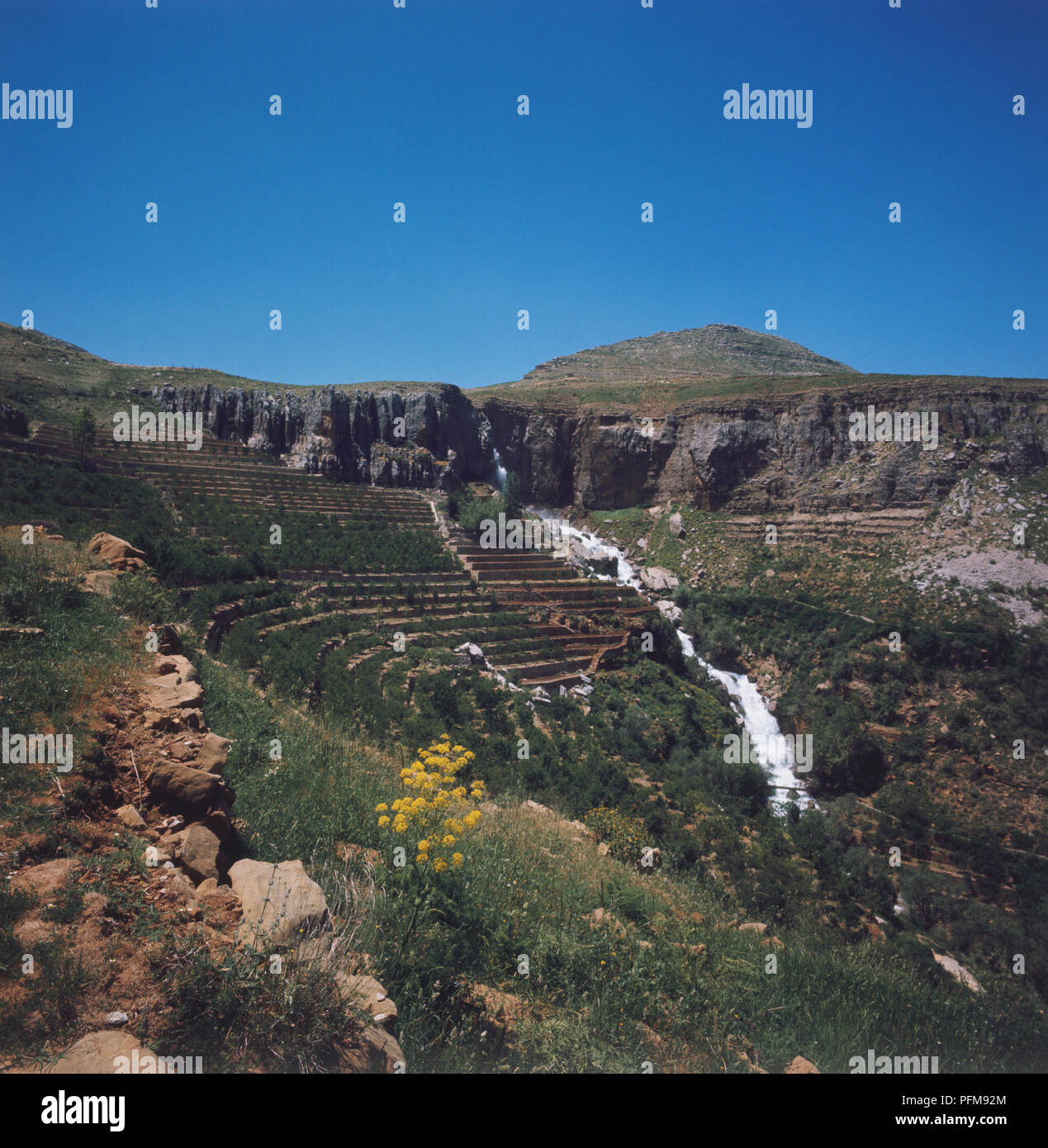 Nahr el Banque de photographies et d’images à haute résolution - Alamy