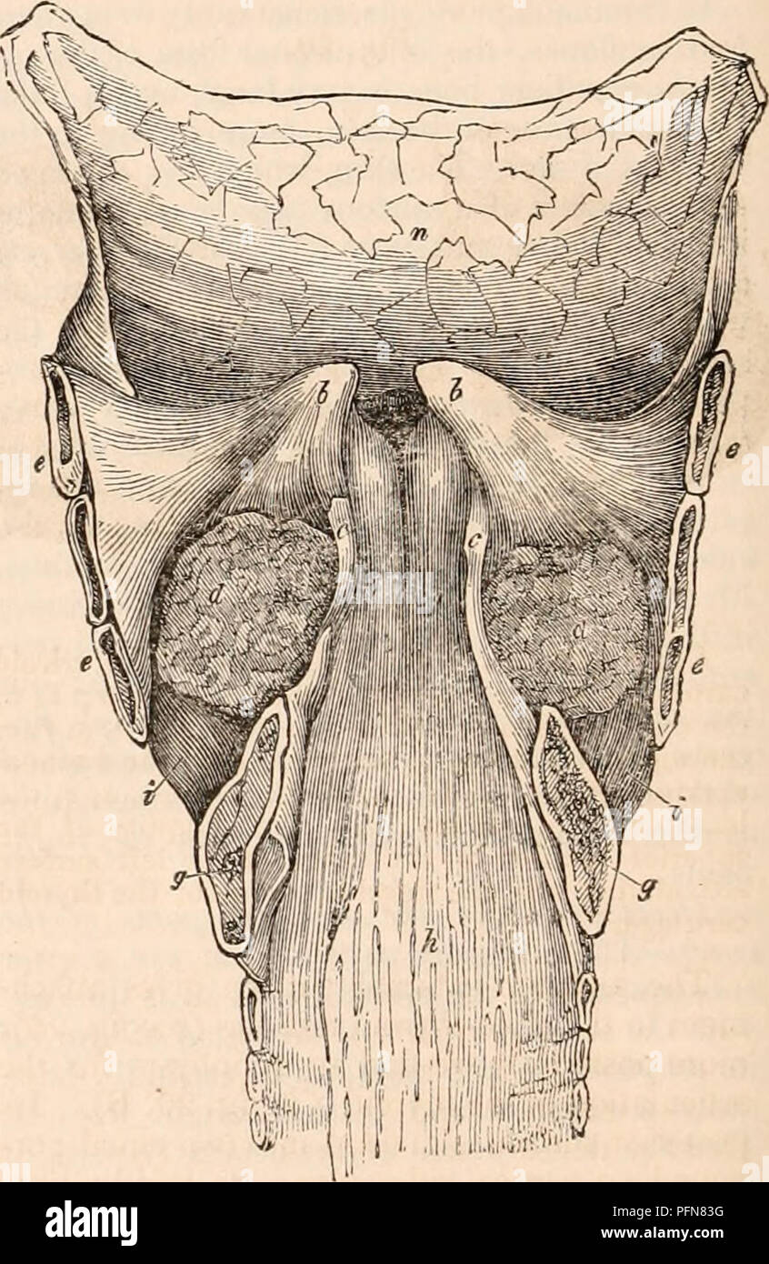 . La cyclopaedia d'anatomie et physiologie. Anatomie ; physiologie ...