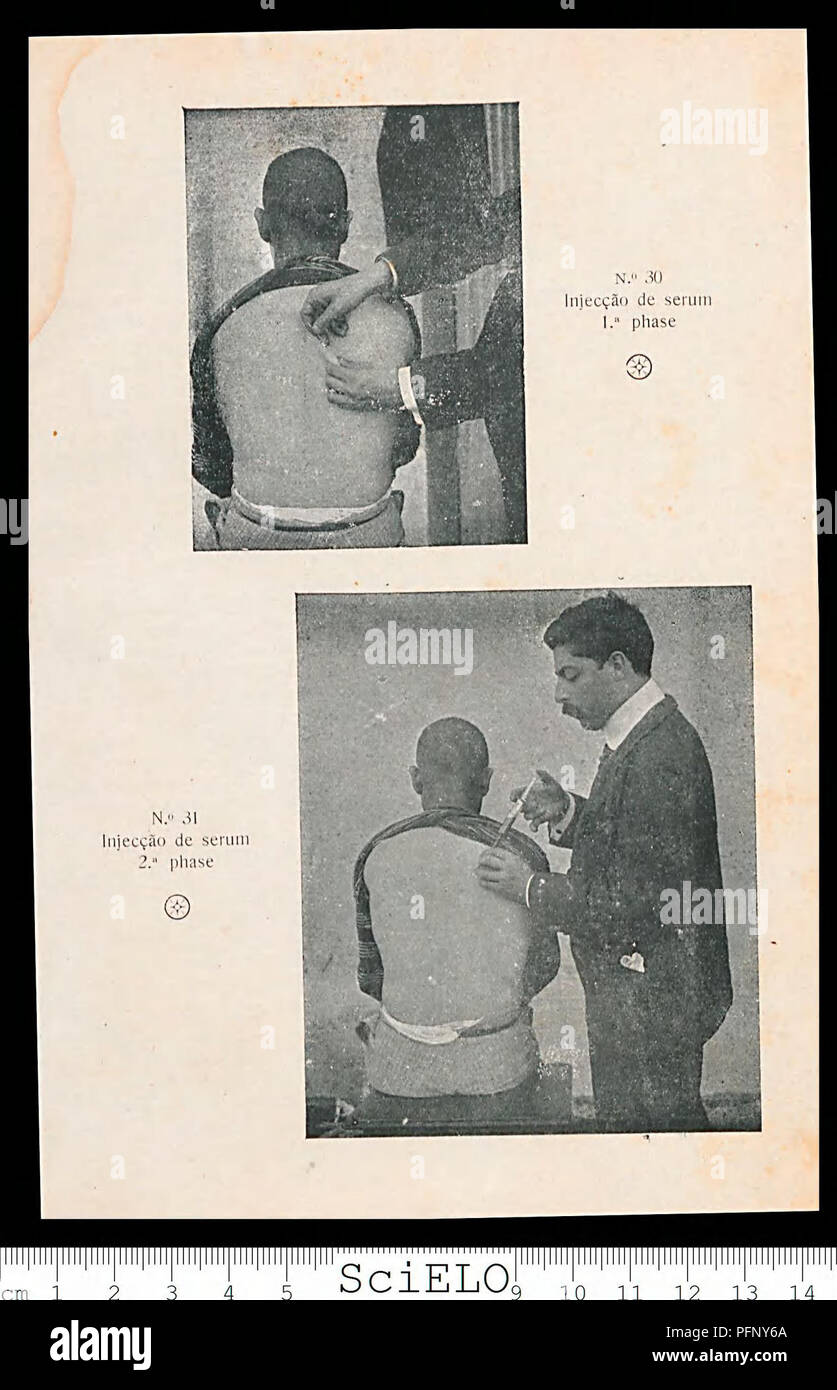 Ce travail décrit des méthodes de défense contre les morsures de ...