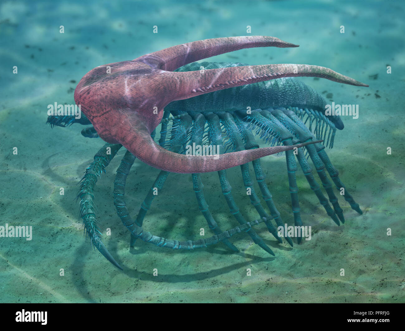 Marrella splendens Banque de photographies et d’images à haute ...