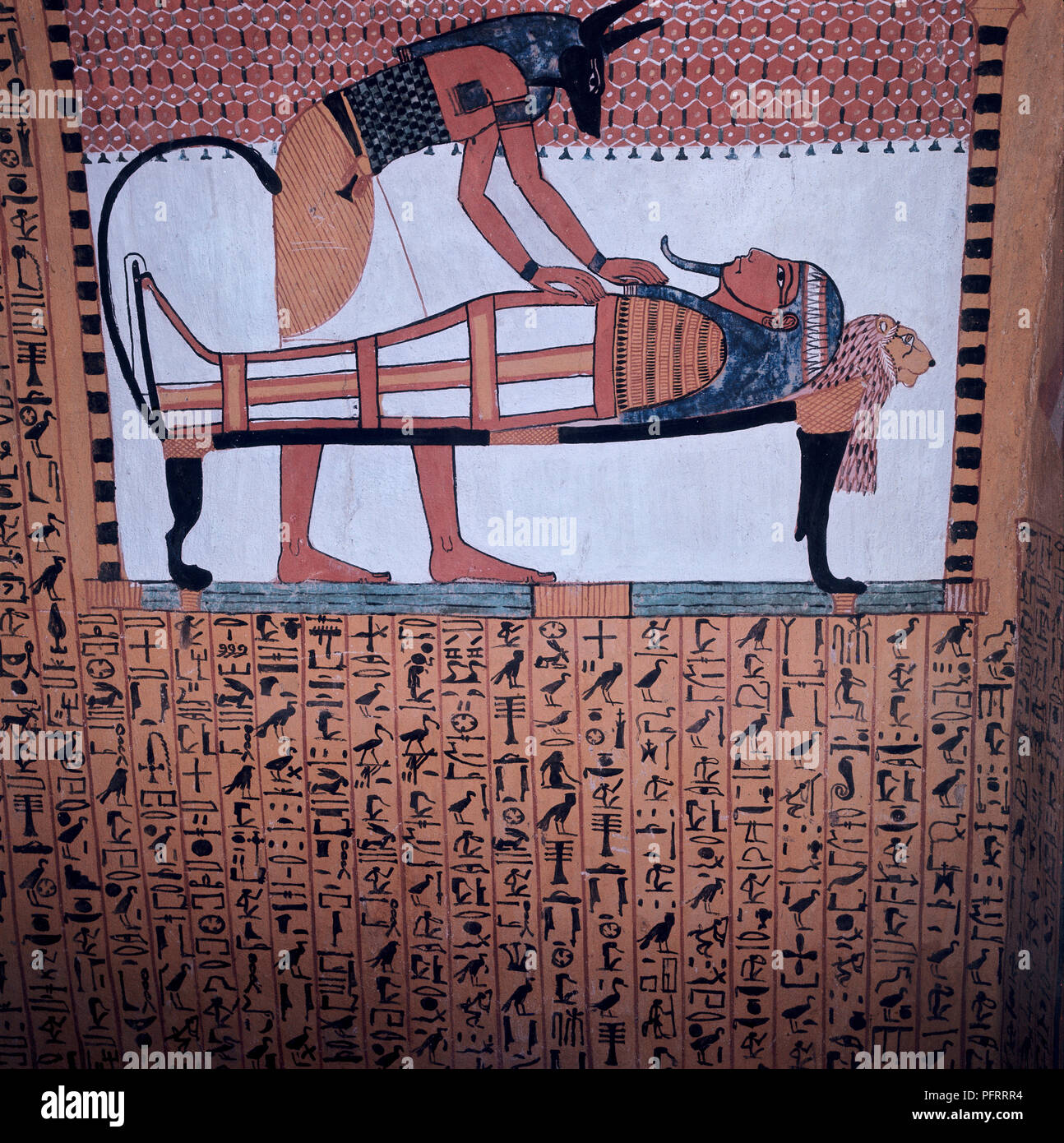 Momification animal Banque de photographies et d’images à haute ...