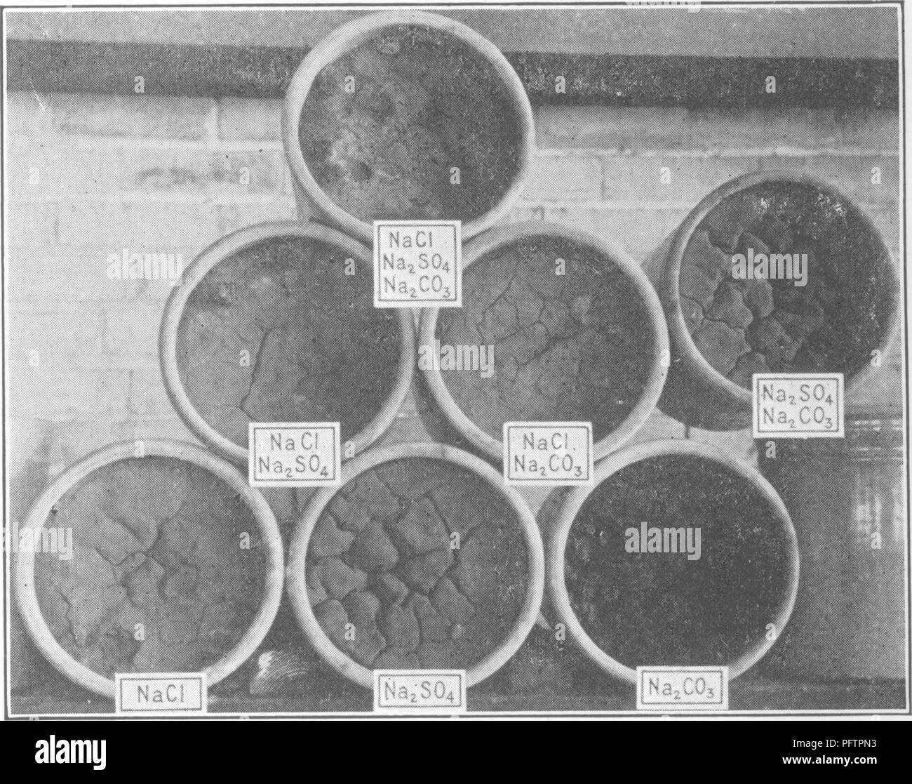 Microbiologie des sols agricoles Banque de photographies et d’images à ...