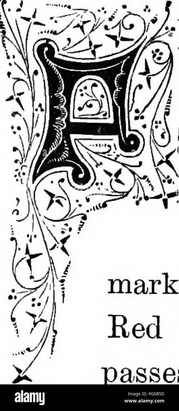 Ce texte décrit le voyage à travers les bois jusqu'à la pierre de Rufus ...