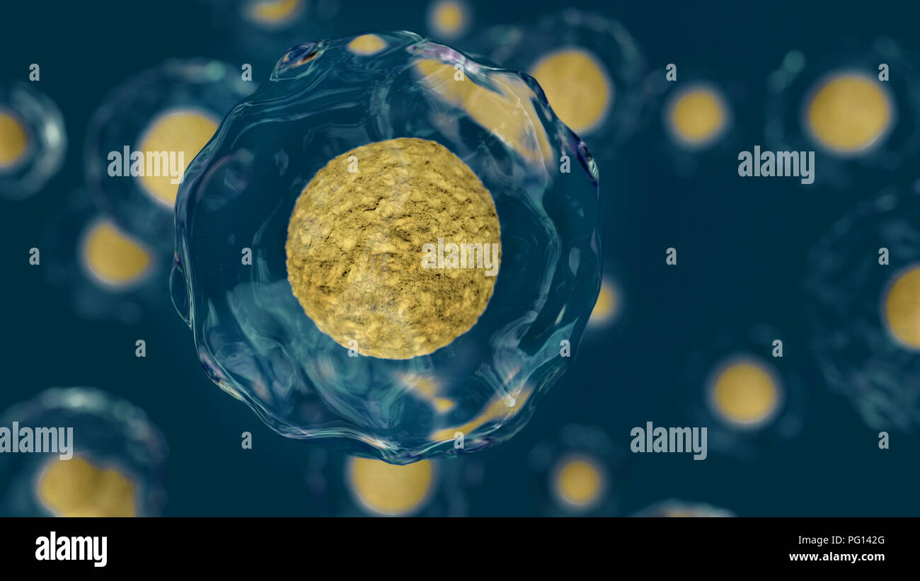Cellule animal microscope Banque de photographies et d’images à haute ...