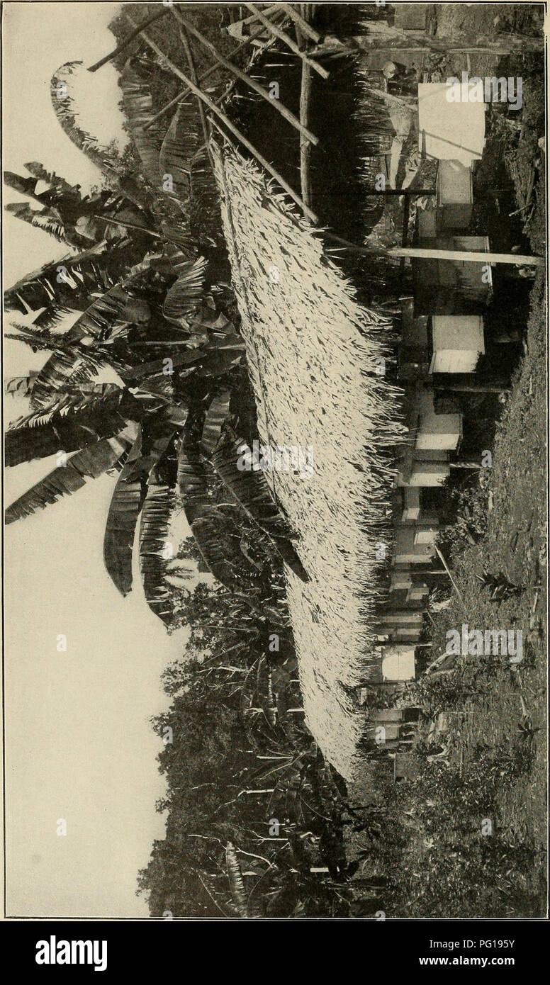 Cette image tirée de « The Cuba Review » présente les navires de la ...