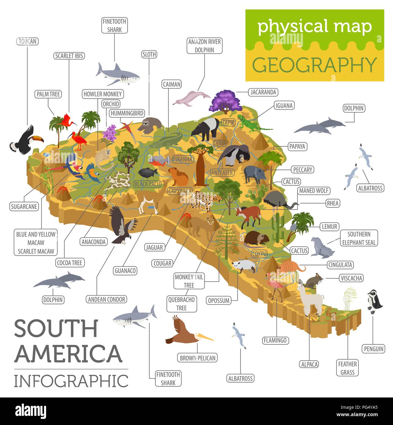 Mapa de la flora y fauna de america Banque de photographies et d’images ...