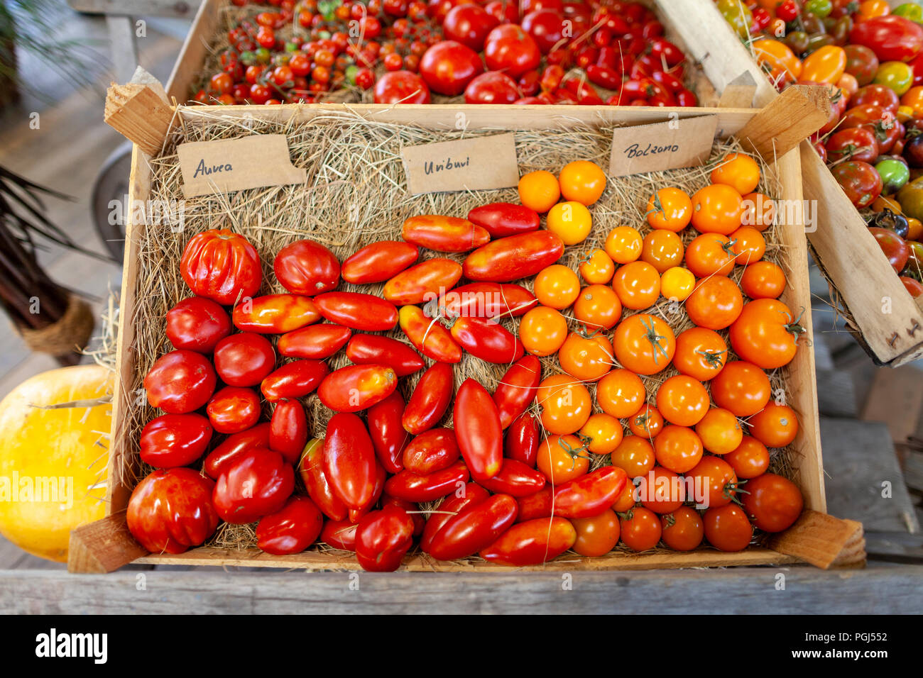 Les différentes variétés de tomate se trouve dans un panier Photo Stock ...
