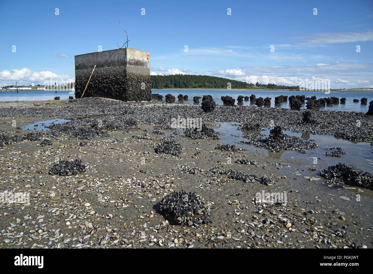 Ancien quai Banque de photographies et d’images à haute résolution - Alamy