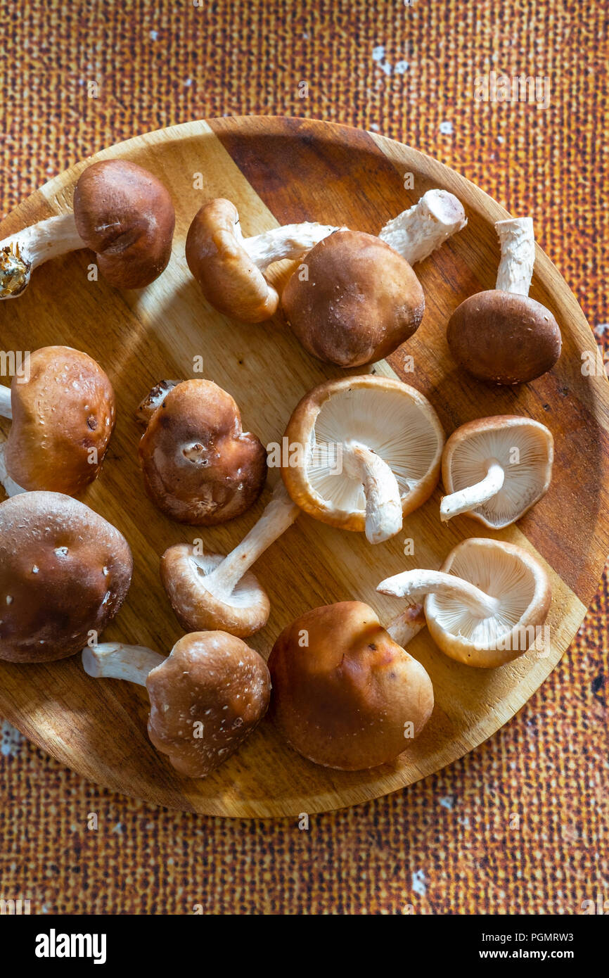 Champignon du japon Banque de photographies et d’images à haute ...
