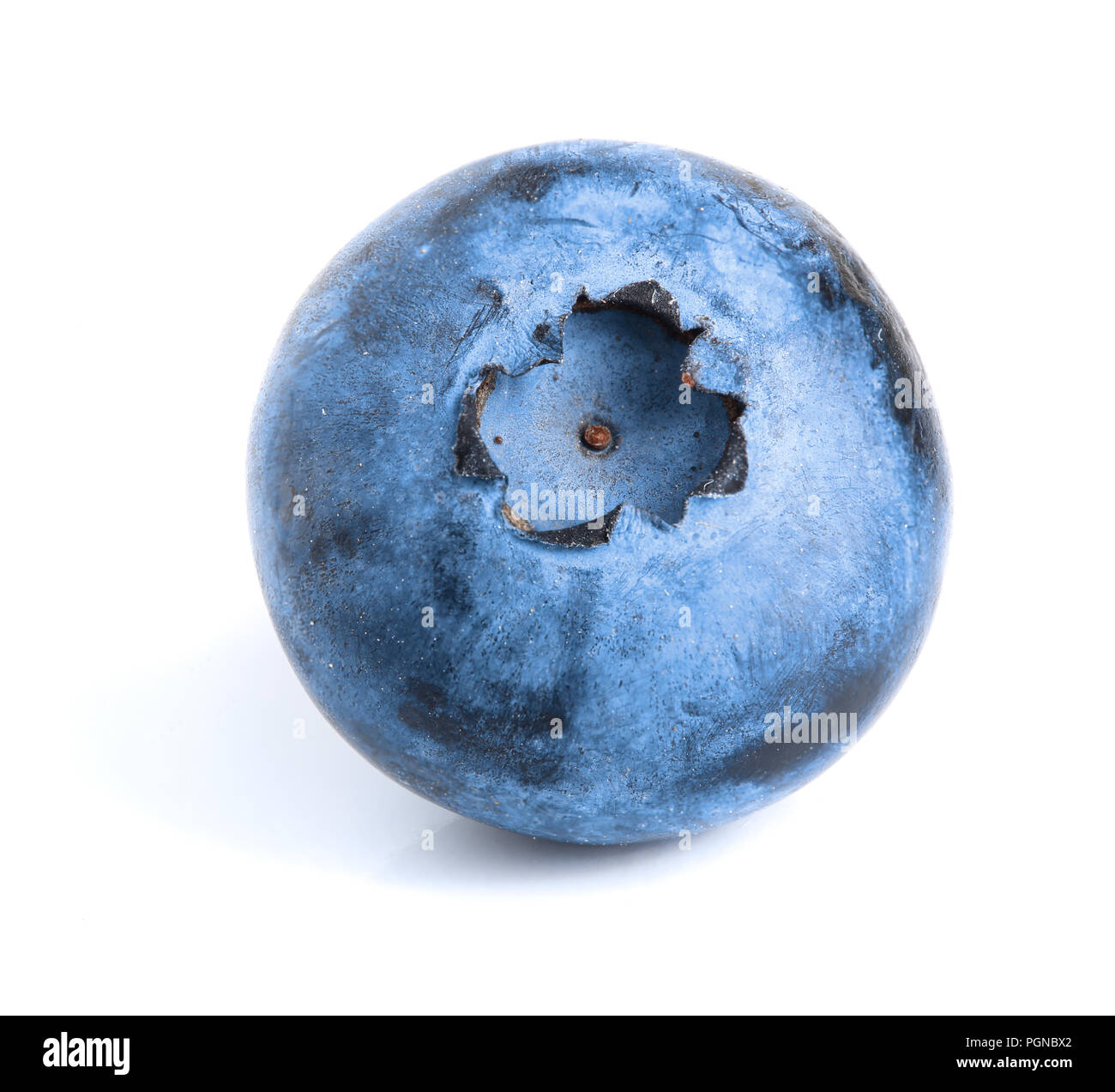 Myrtille simple Banque de photographies et d’images à haute résolution - Alamy