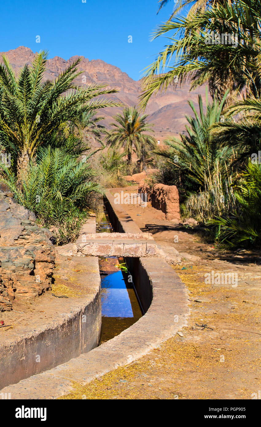 Irrigation in desert Banque de photographies et d’images à haute ...