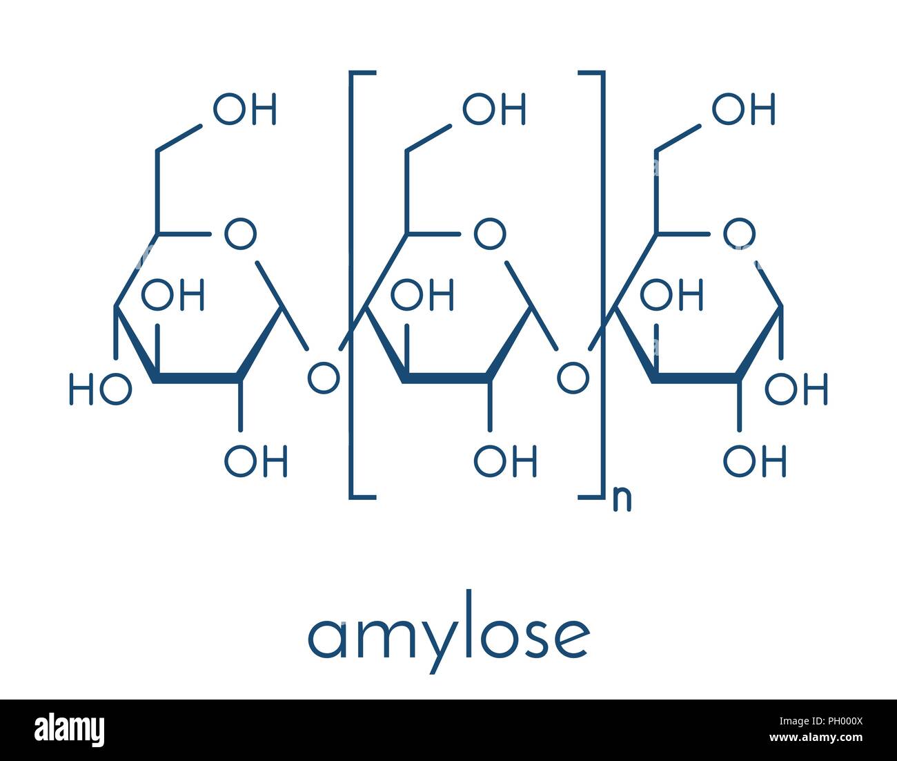 L'amylose polysaccharide polymère, la structure chimique. L'organe de l ...