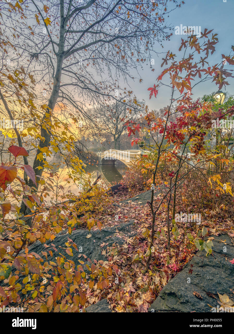 Le Bow Bridge est un pont en fonte situé dans Central Park, New York ...
