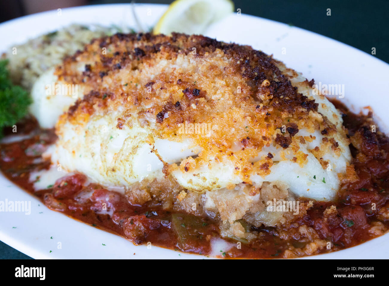 Poisson cape Banque de photographies et d’images à haute résolution - Alamy