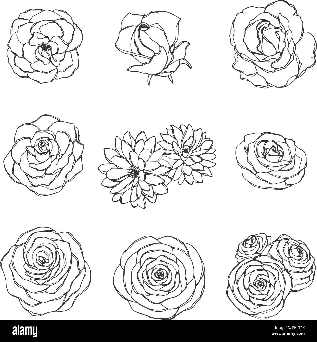 Contour floral Banque de photographies et d’images à haute résolution ...