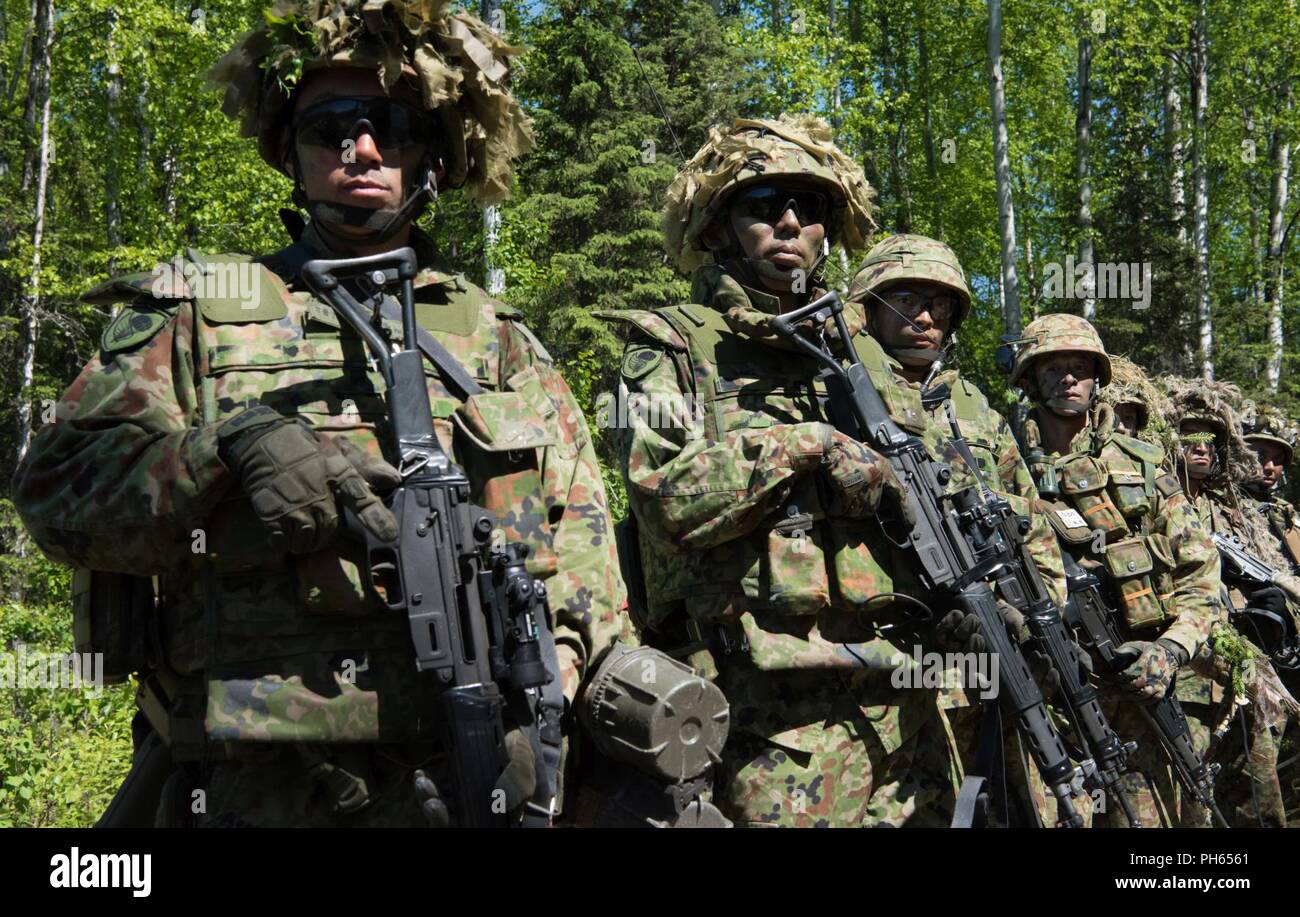 Platoon movement to contact Banque de photographies et d’images à haute ...