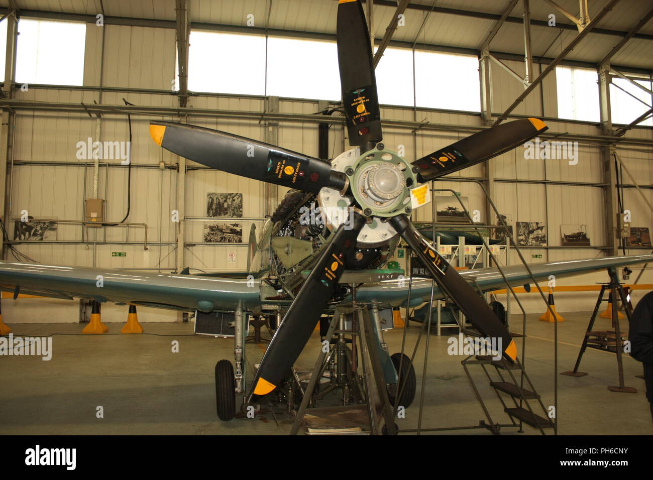 Griffon Spitfire Banque d'image et photos - Alamy