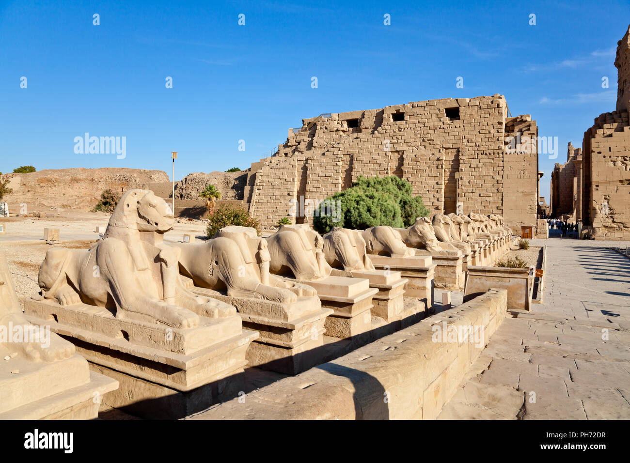 Sphinx de pierre Banque de photographies et d’images à haute résolution ...