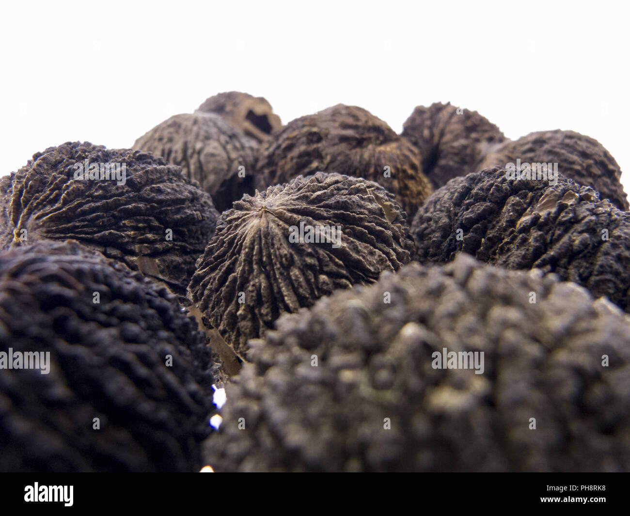 Fruit noyer noir Banque de photographies et d’images à haute résolution ...
