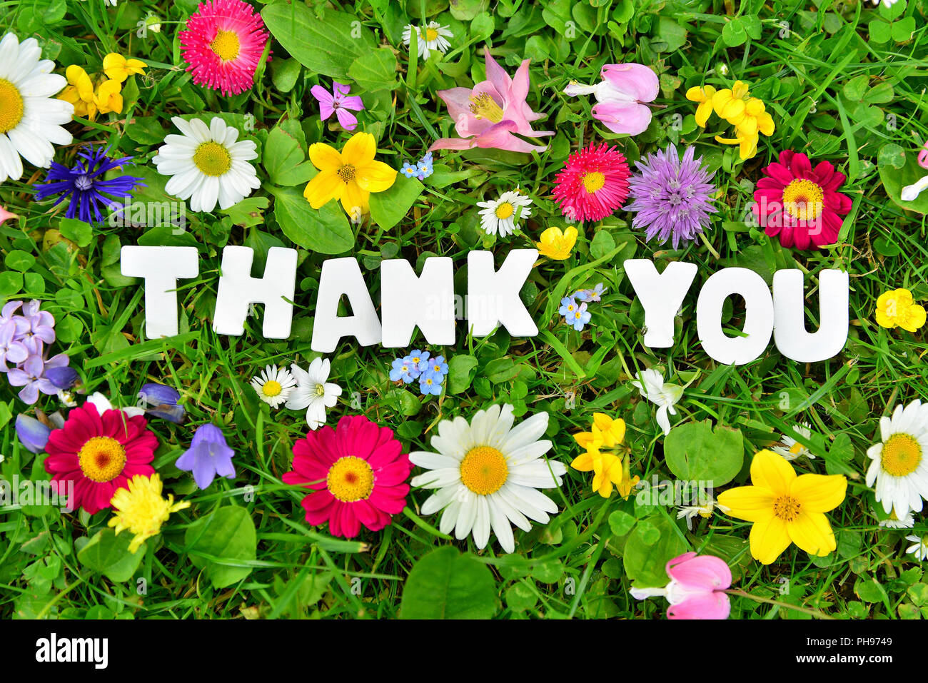 Merci fleur Banque de photographies et d’images à haute résolution - Alamy