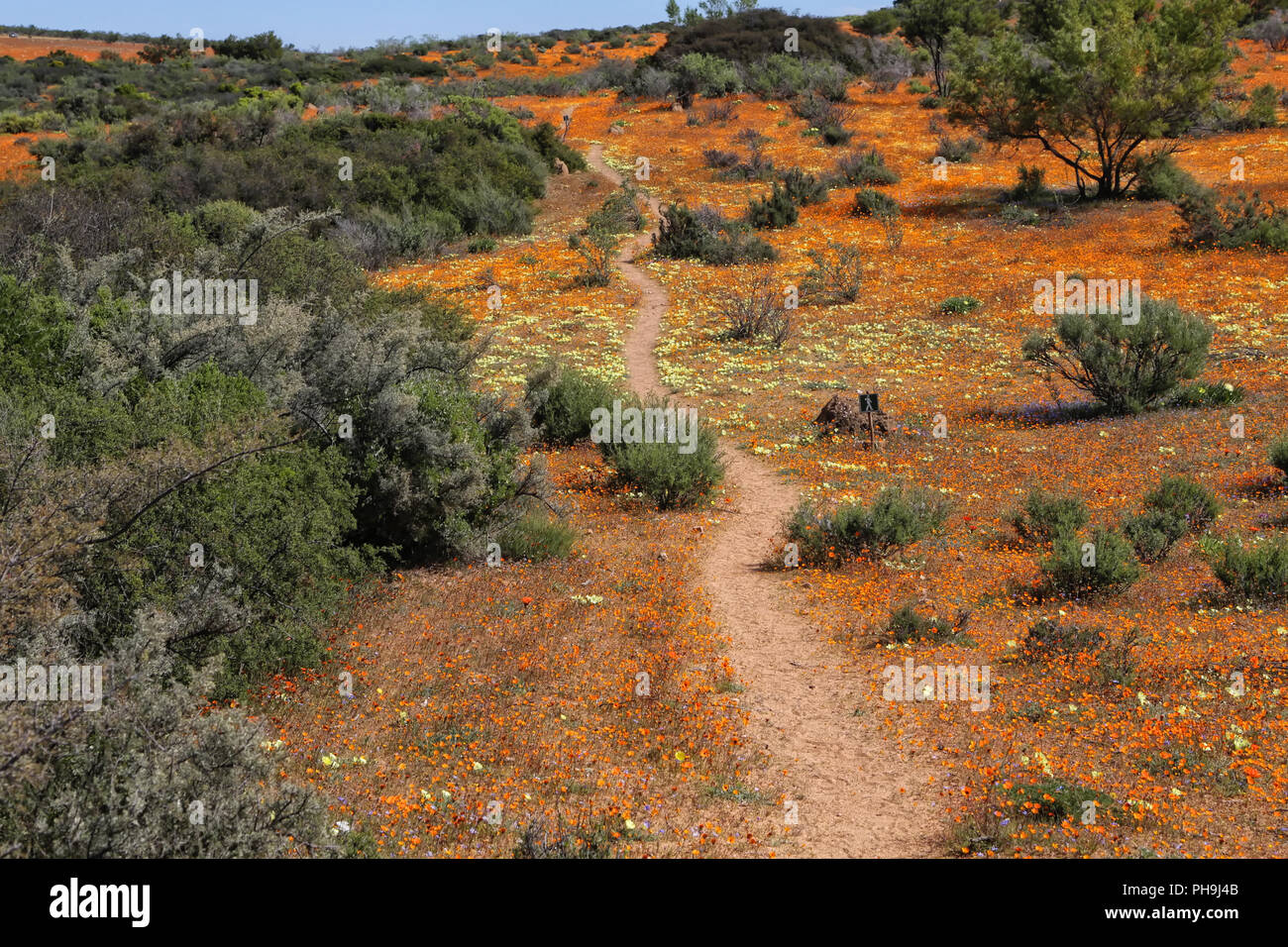 Namaqua national park south africa Banque de photographies et d’images ...