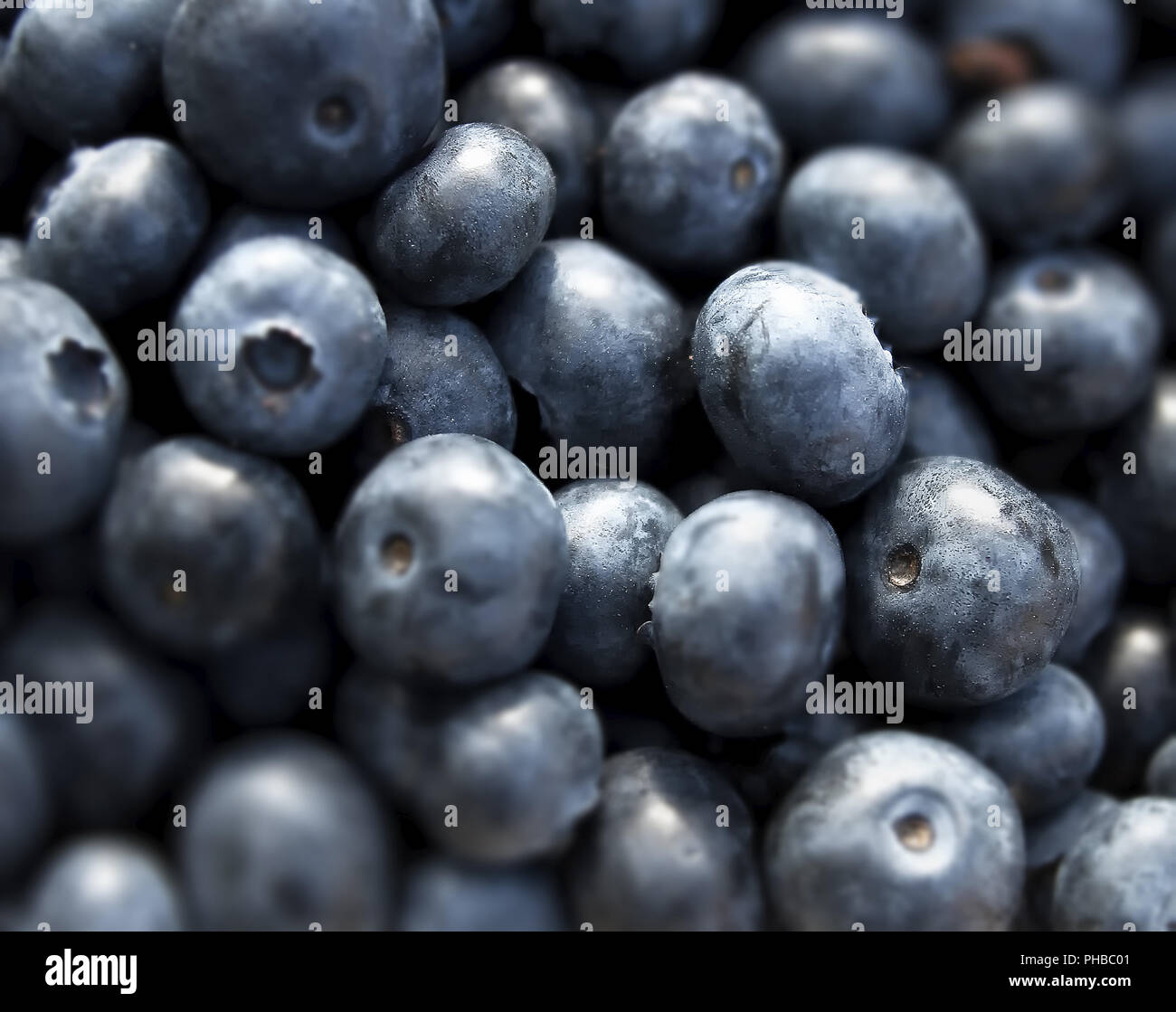 Fruits de solanum nigrum Banque d'image et photos - Alamy