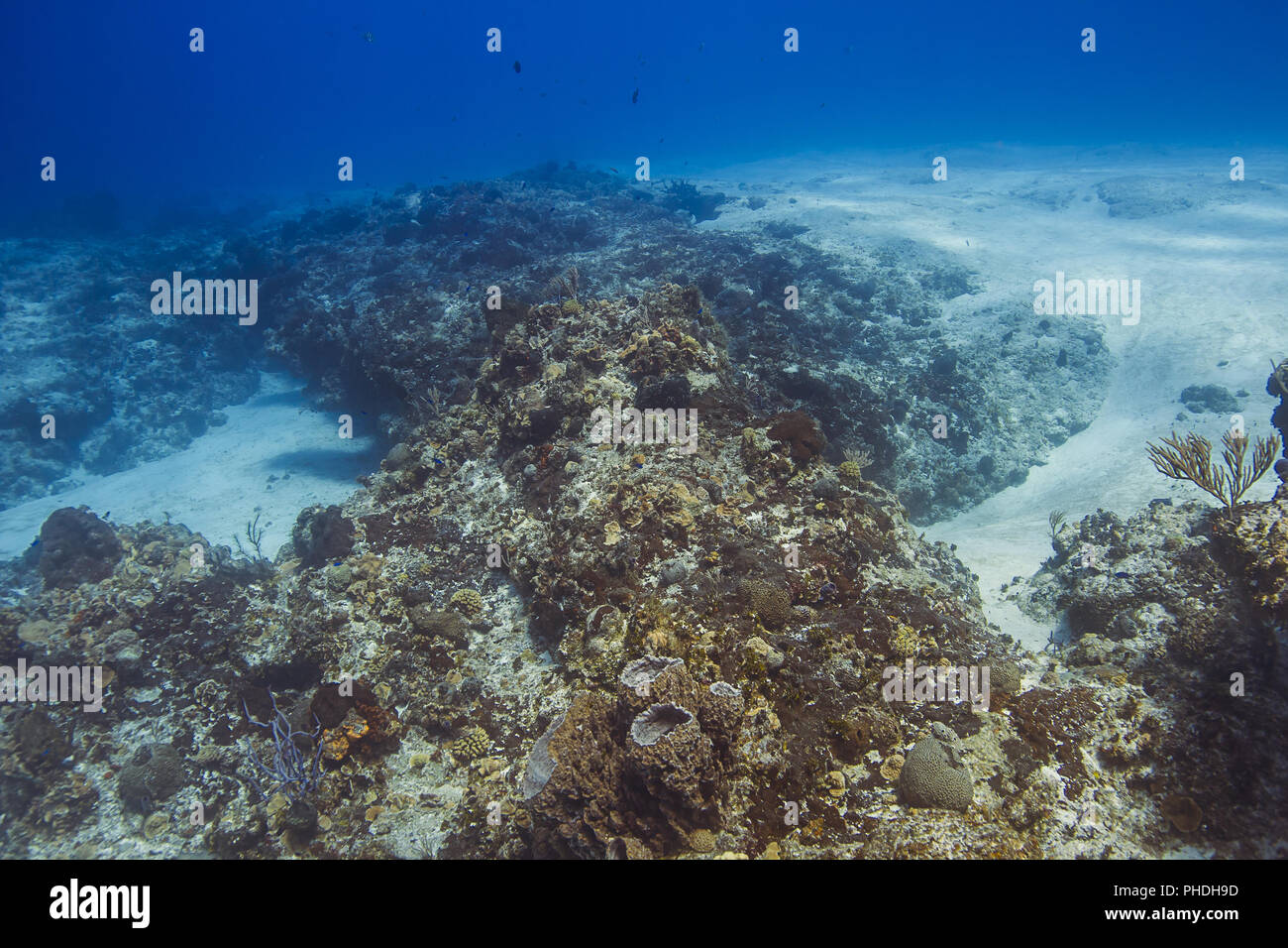 Paysage de récif Banque de photographies et d’images à haute résolution ...
