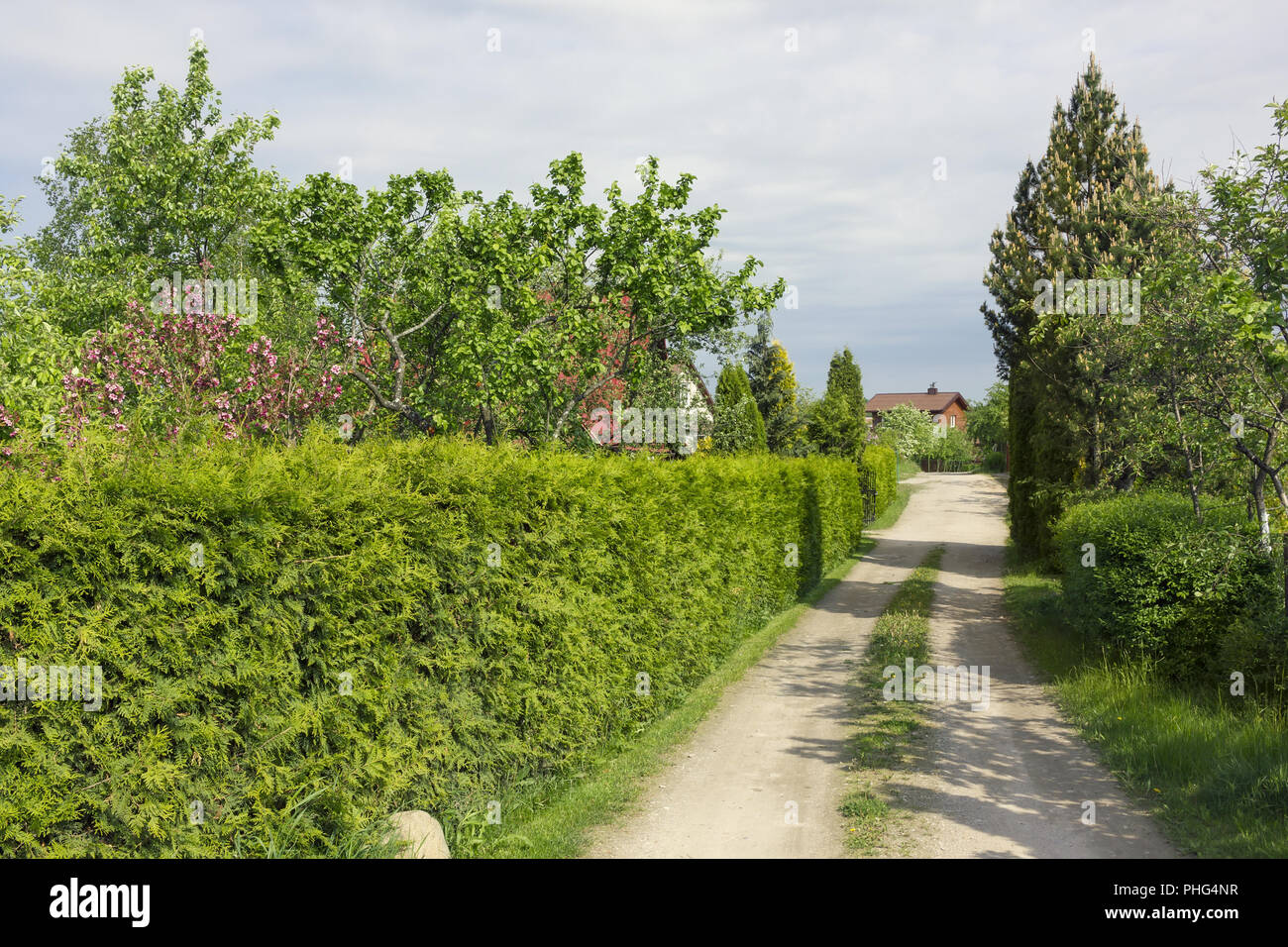 Haie et route rurale Banque de photographies et d’images à haute ...