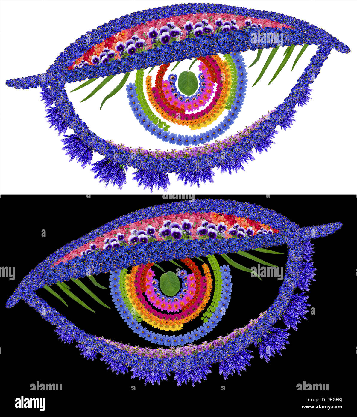 Feuille de dieu Banque de photographies et d’images à haute résolution ...