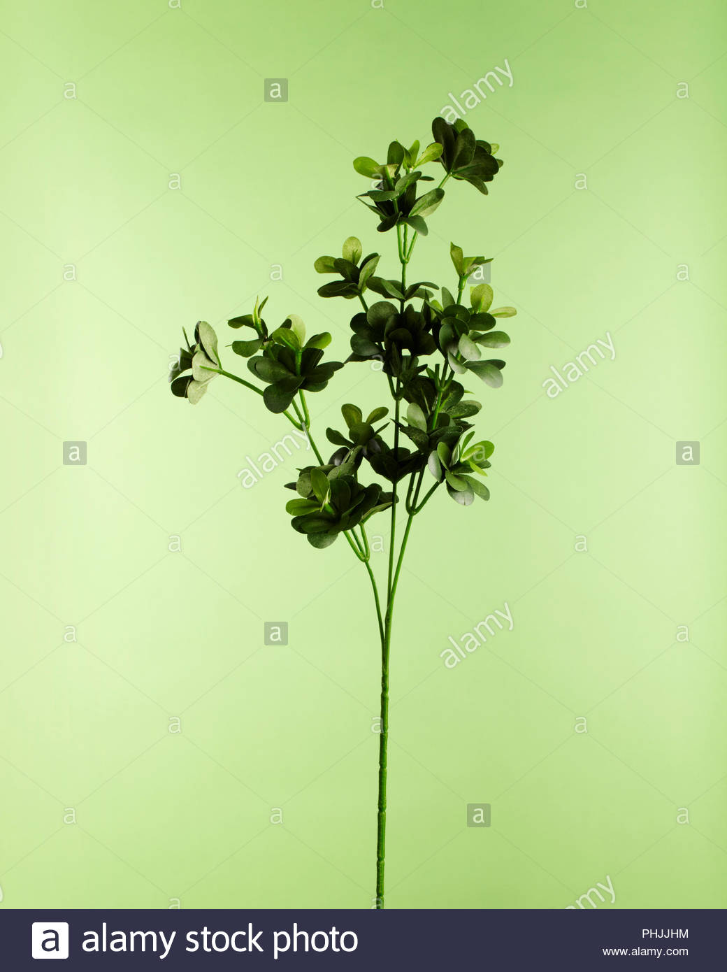 Vert Vertical Banque d'image et photos - Alamy