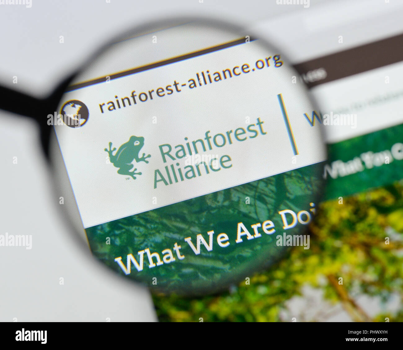 Rainforest alliance logo Banque de photographies et d’images à haute ...